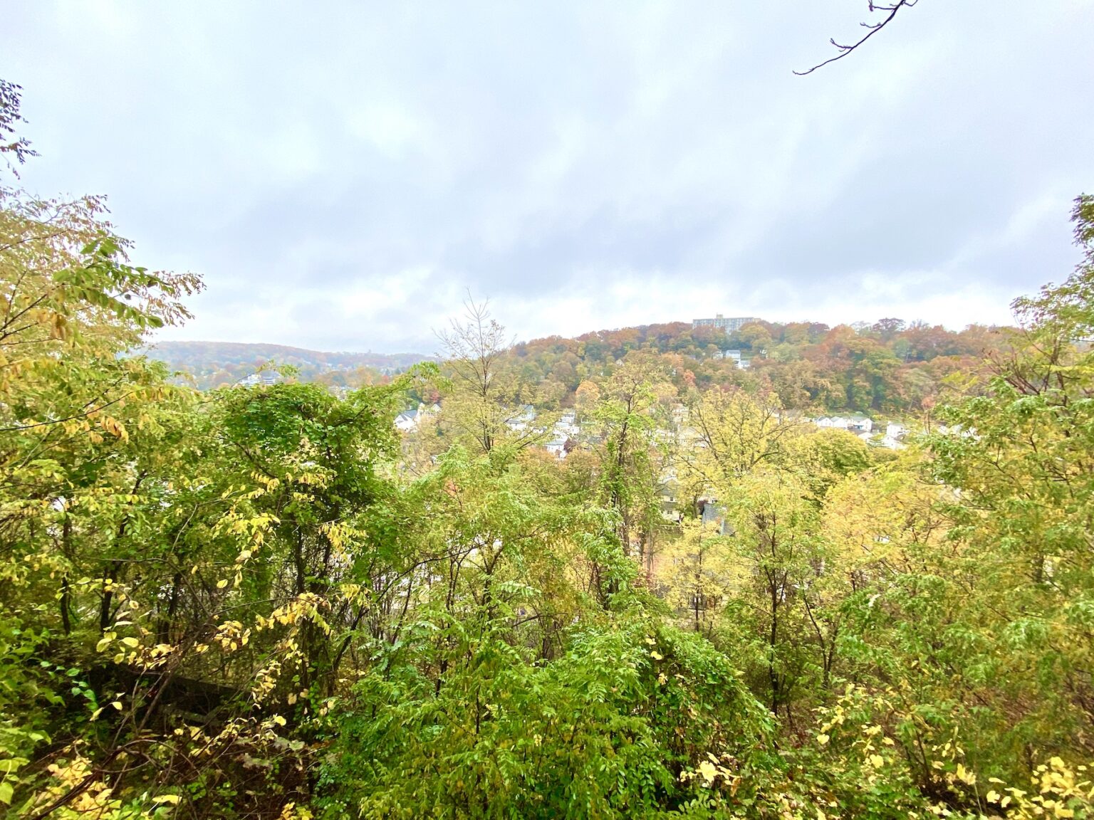 Westchester Land Trust | Protecting the Land You Love Forever